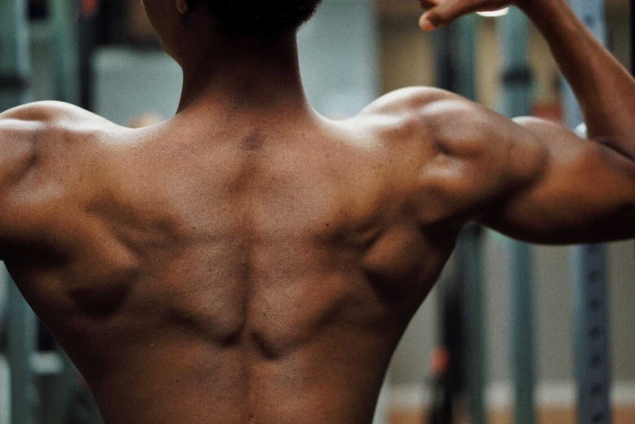 Shoulder Replacements | Top Rated Physical Therapy in Reading